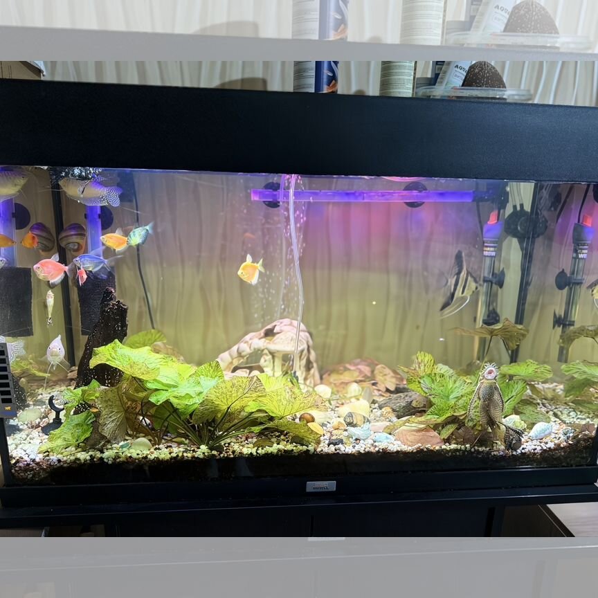 Аквариум с тумбой 125 литров