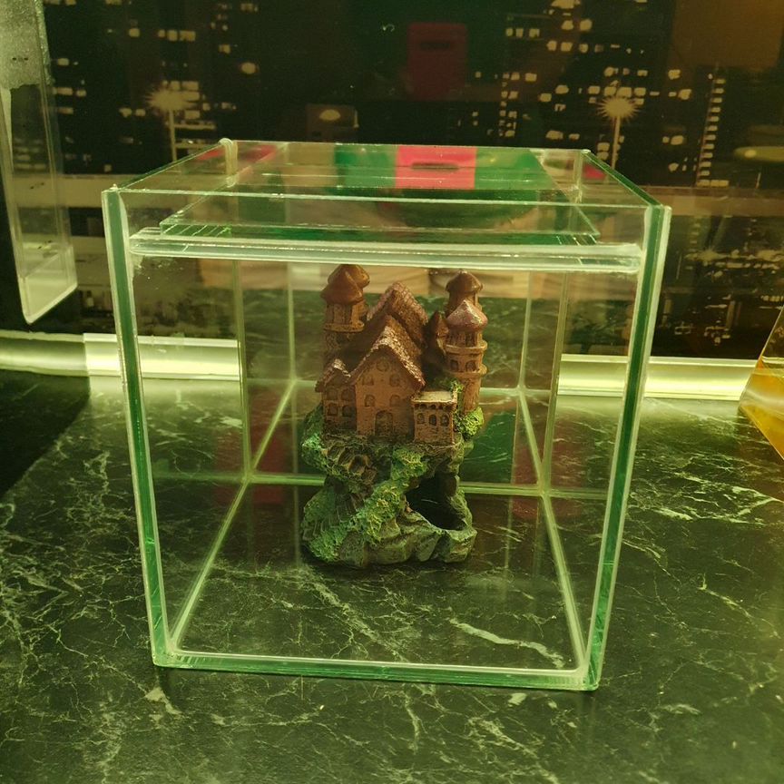 Аквариум для мелких рыбок