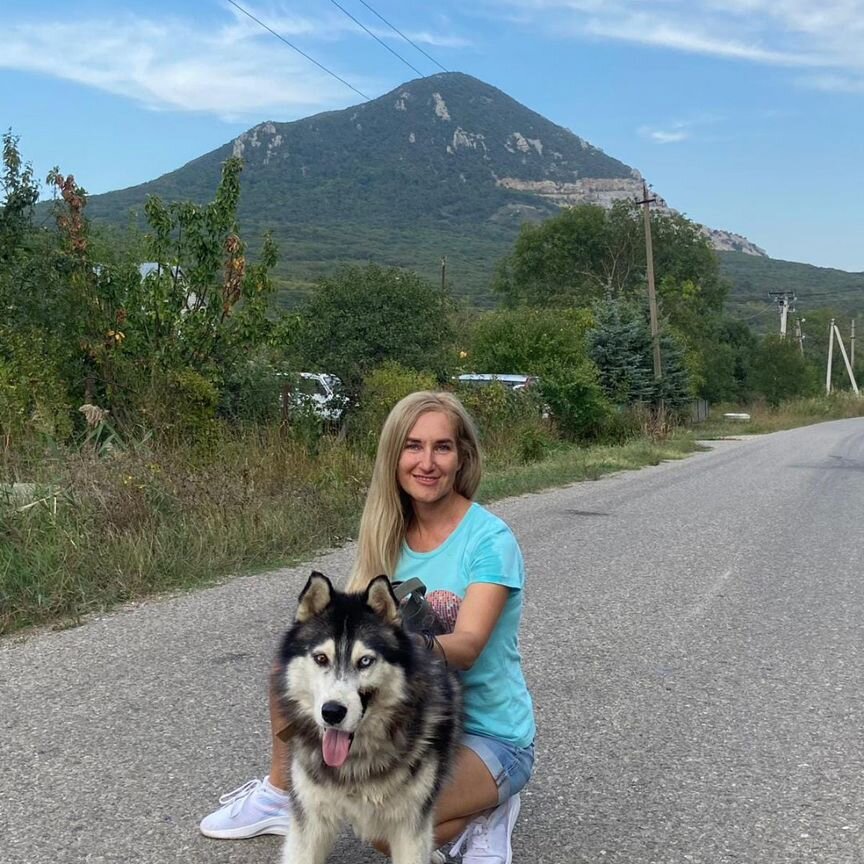 Маламут Грэй в дар