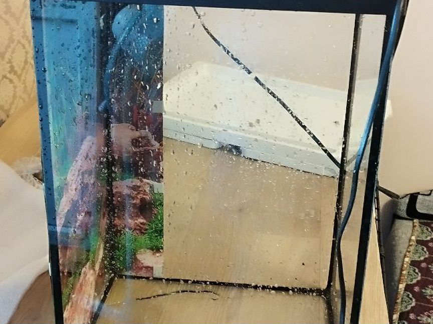 Аквариум под ключ