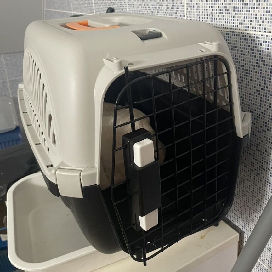 Переноска для кошек