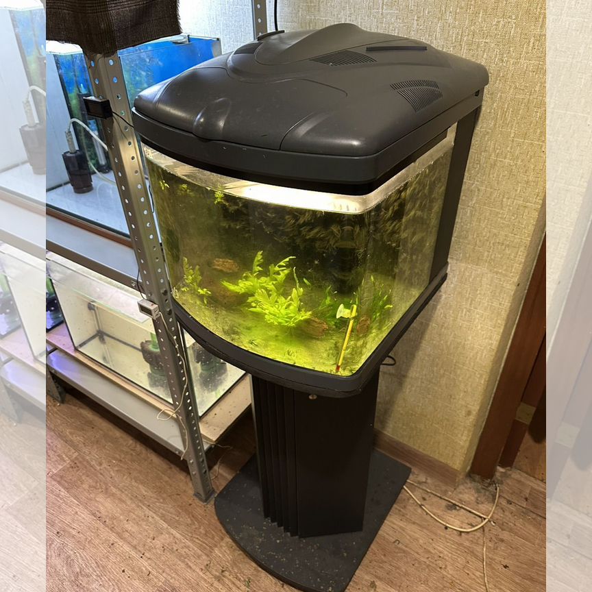 Аквариум Sera Biotop Nano Cube 60