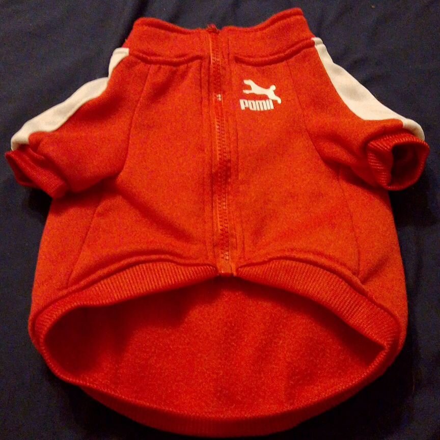 Кофточка для мини собачек или кошек