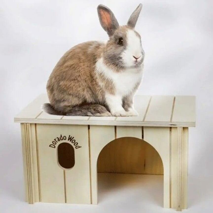 Домик для кролика