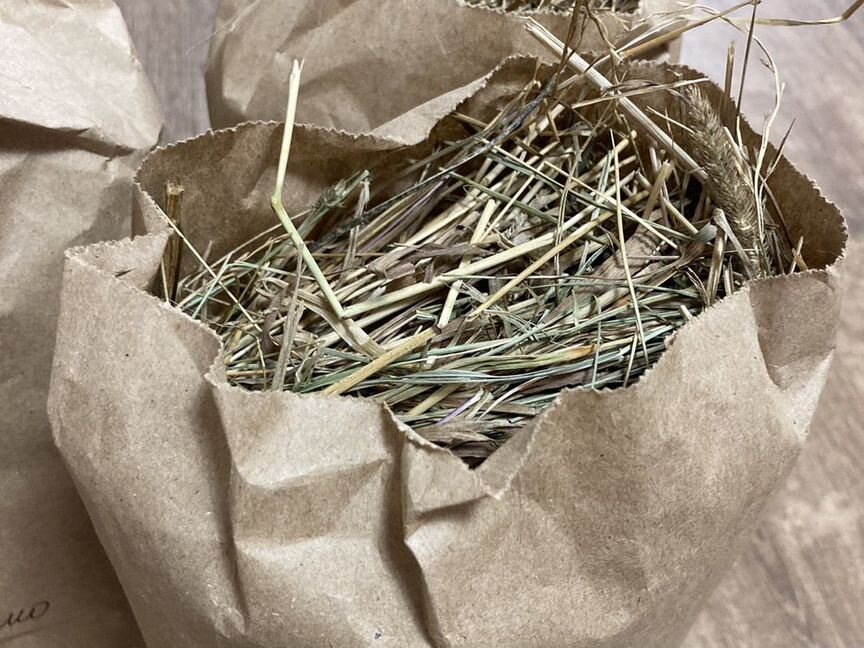 Сено для грызунов