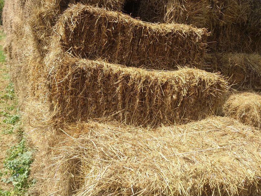 Сено в тюках 2023