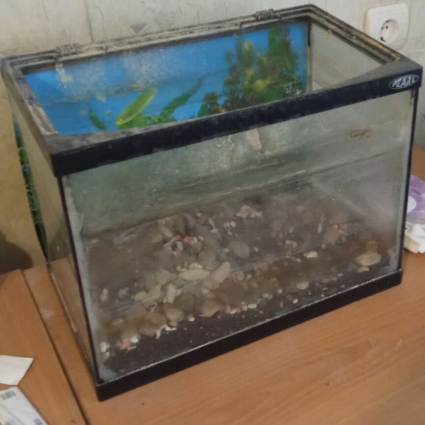 Аквариум