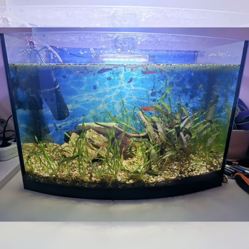 Аквариум с рыбками и всем необходимым