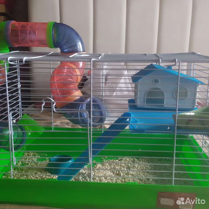 Крысята с клеткой