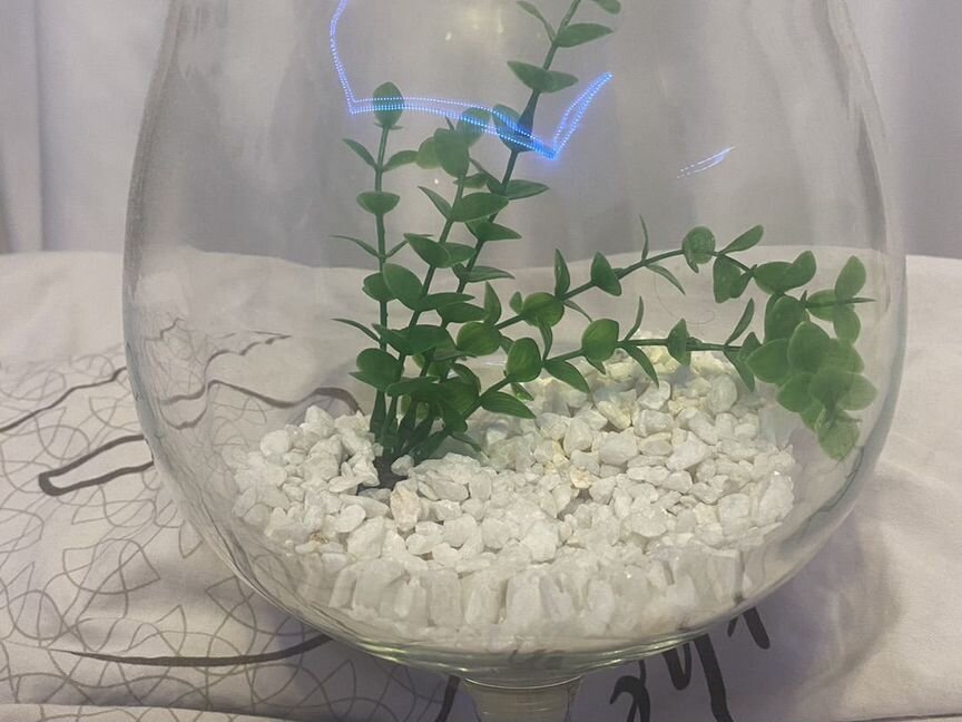 Аквариум в виде бокал