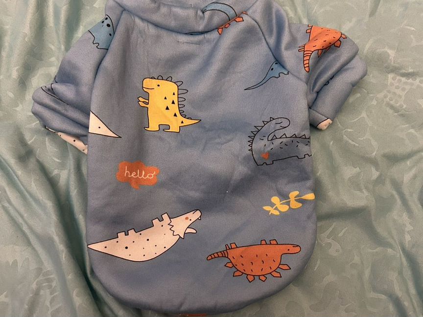 Одежда для собак мелких пород