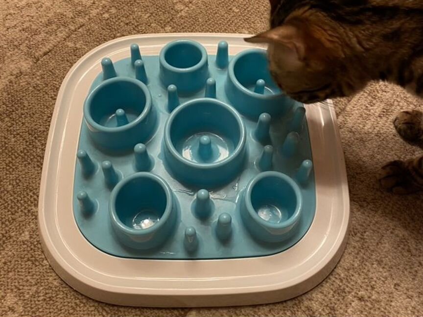 Миска для животных Savic "Enigma 11", интерактивна