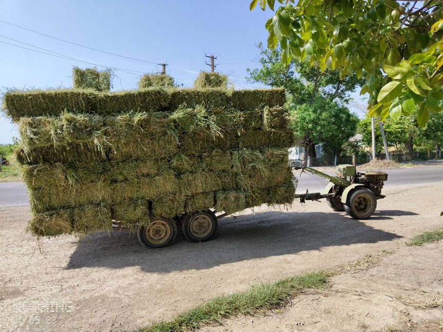 Сено тюкованое люцерна