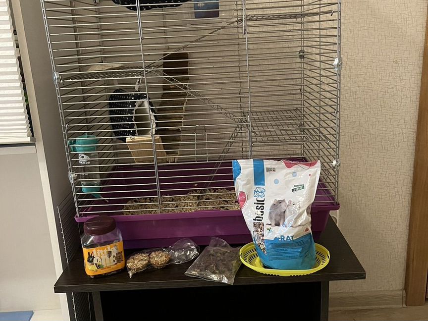 Большая клетка для крыс