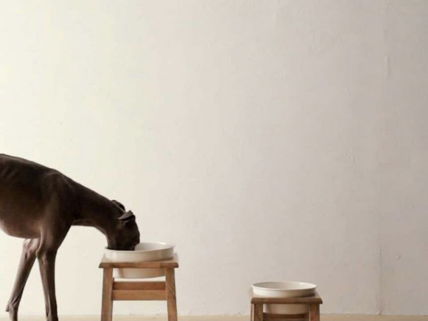 Миска для собак Zara Home