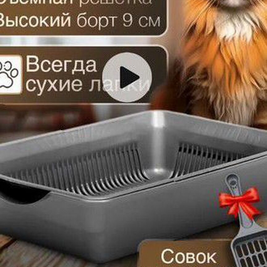 Вещи для кошки