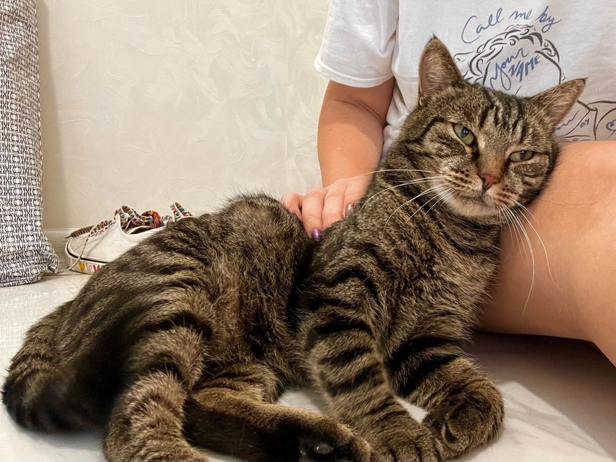 Ждет хозяина почти год