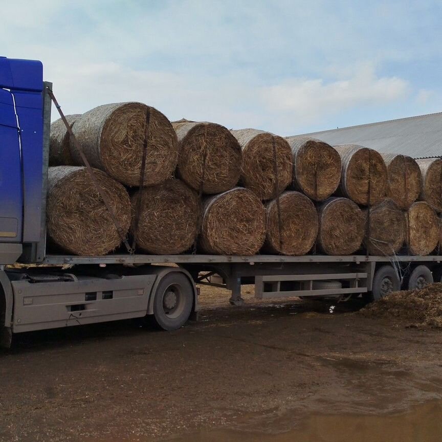 Продам солому