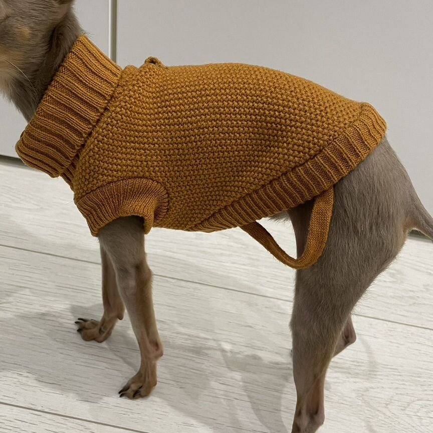Свитер для собак мелких пород