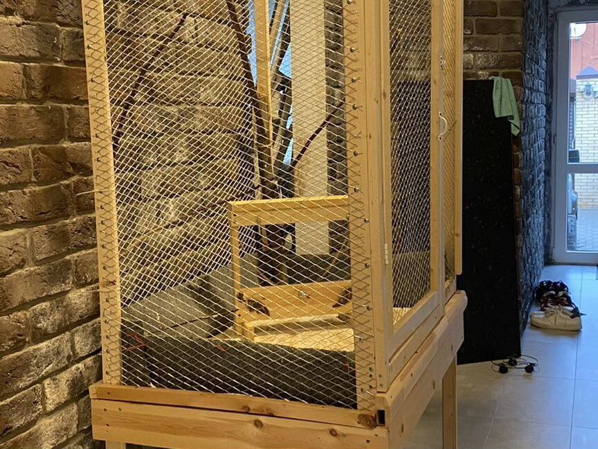 Огромная клетка