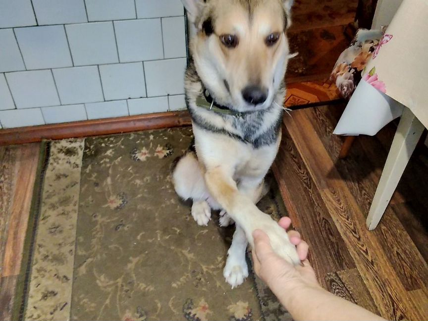 Спасите Джека