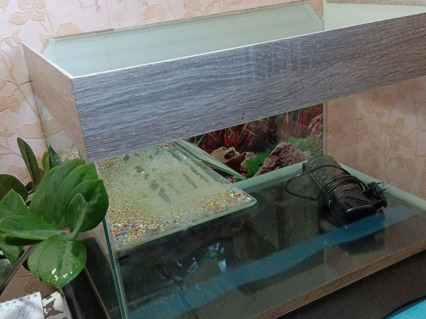 Черепашатник аквариум