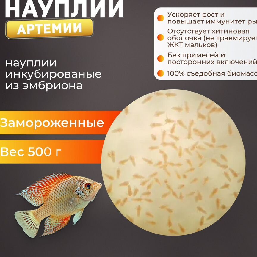 Замороженные науплии артемии. Свежая партия