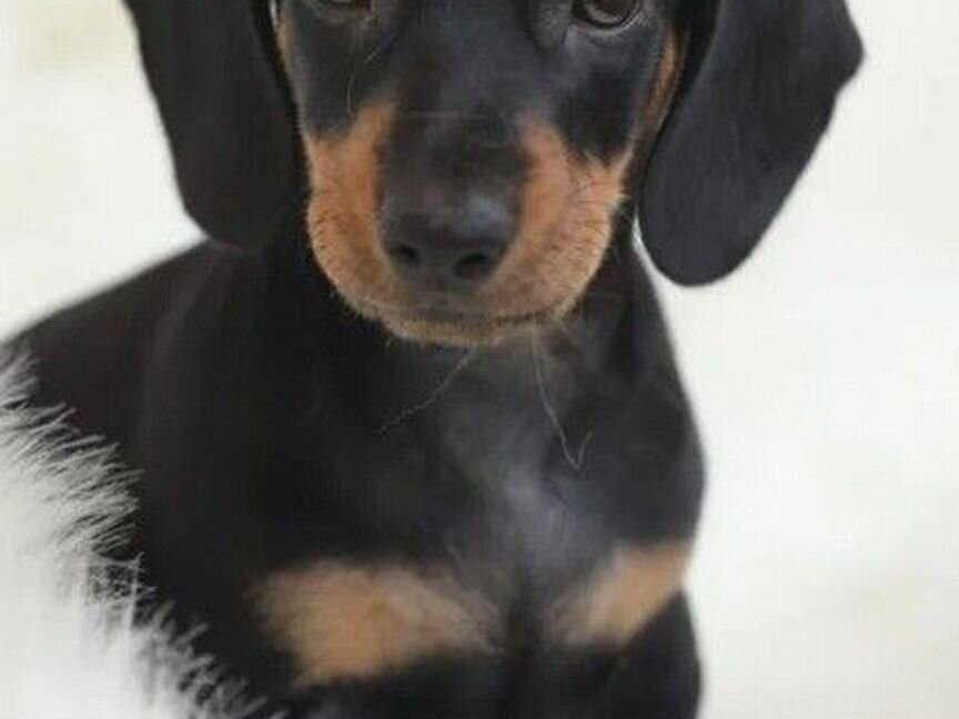 Умные малыши