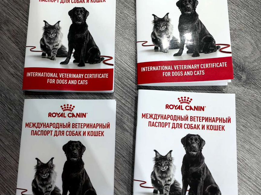 Ветеринарный паспорт