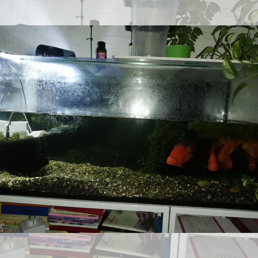 Домик для рыб