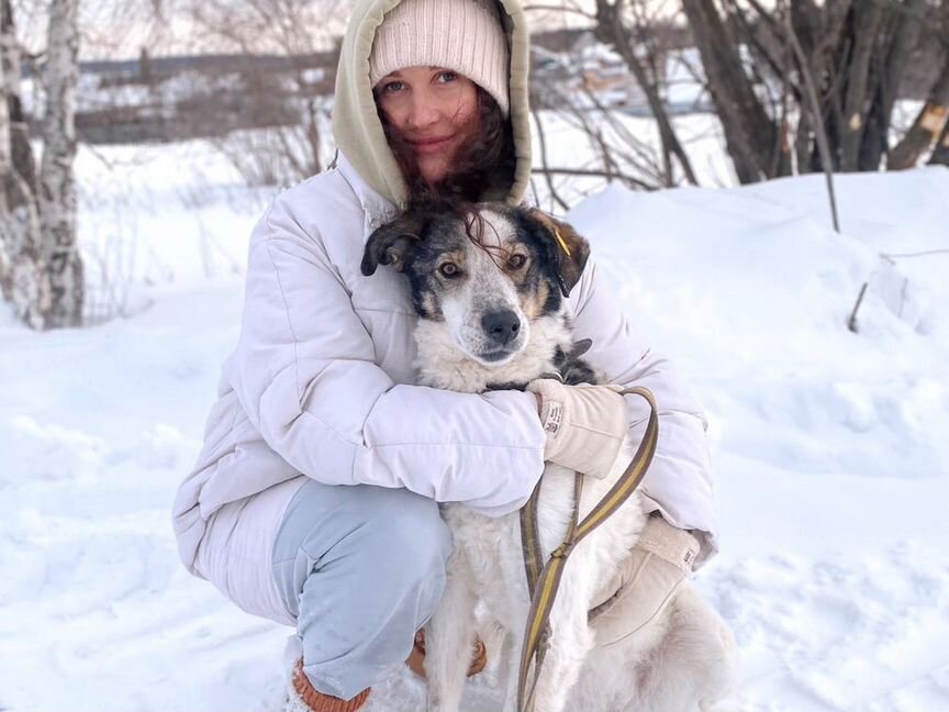 Собака Лада-Шилопоп