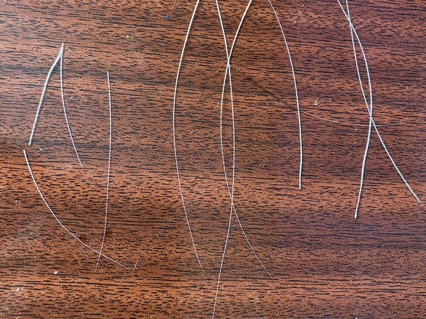 Кошачьи усы