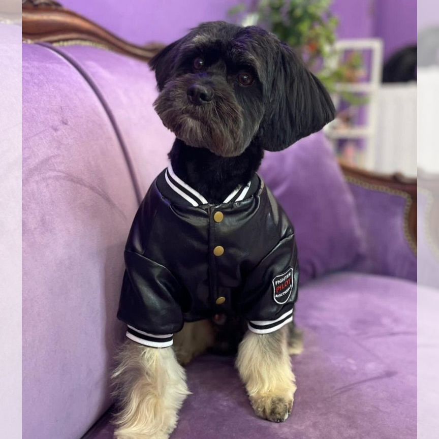 Мальтипу для вязки