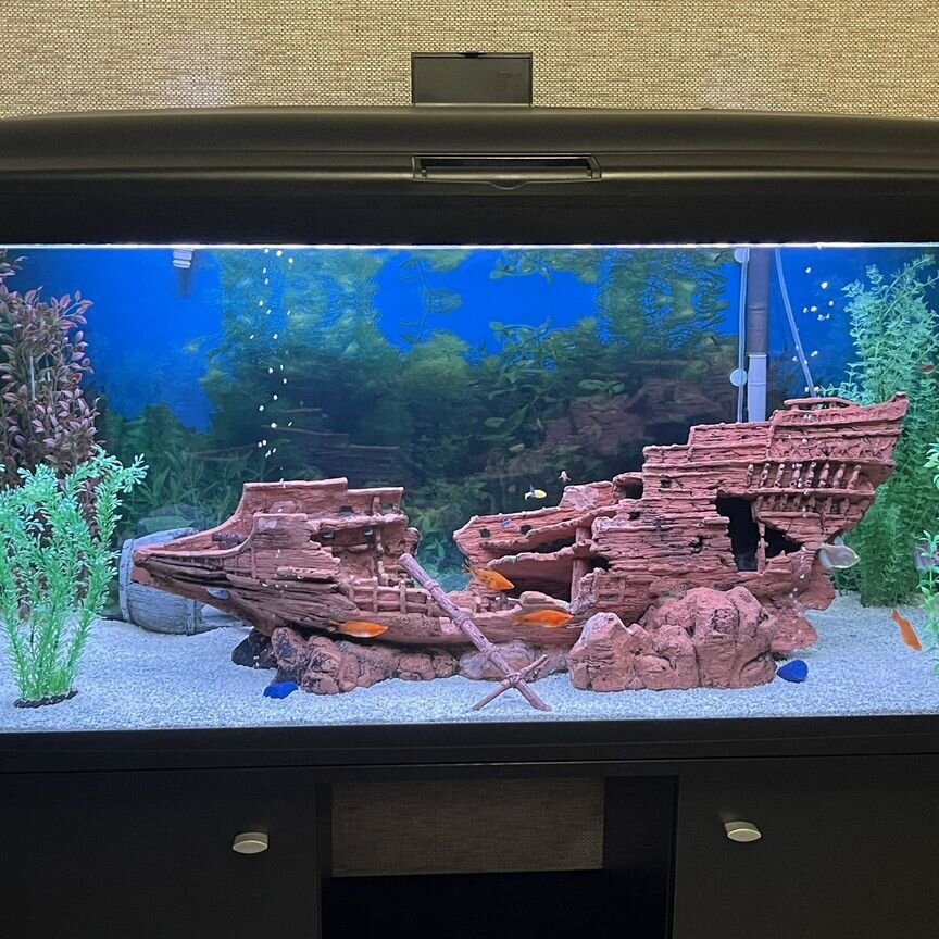 Аквариум 230 литров   наполнение