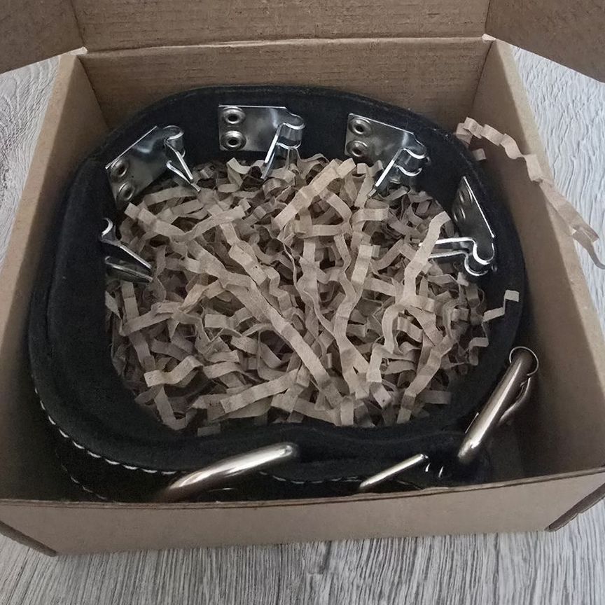 Строгий ошейник для собак