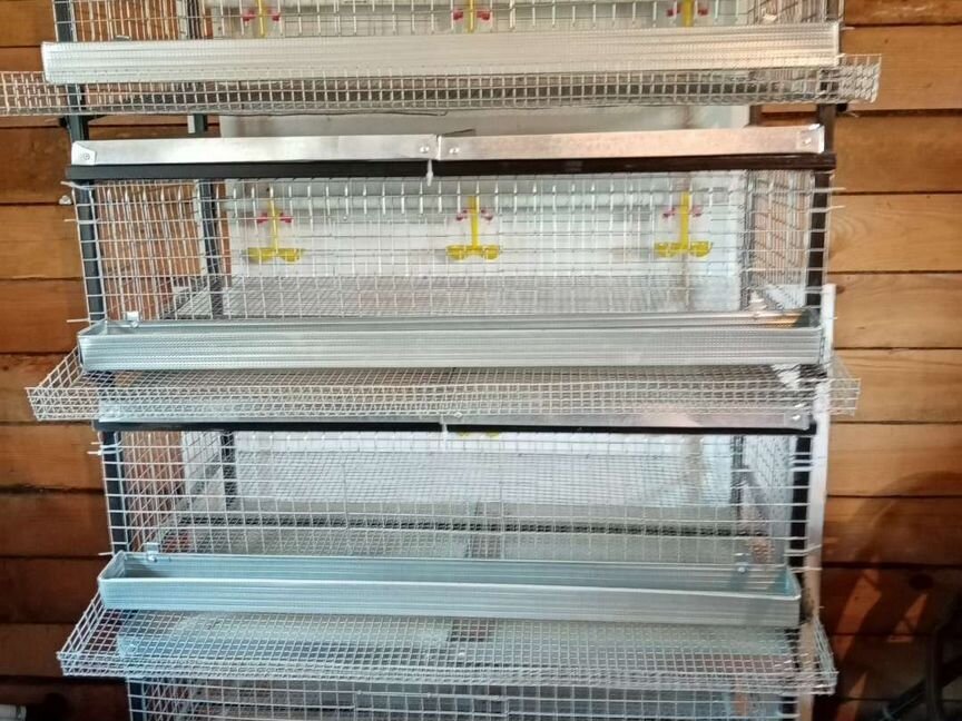 Клетки для перепелов