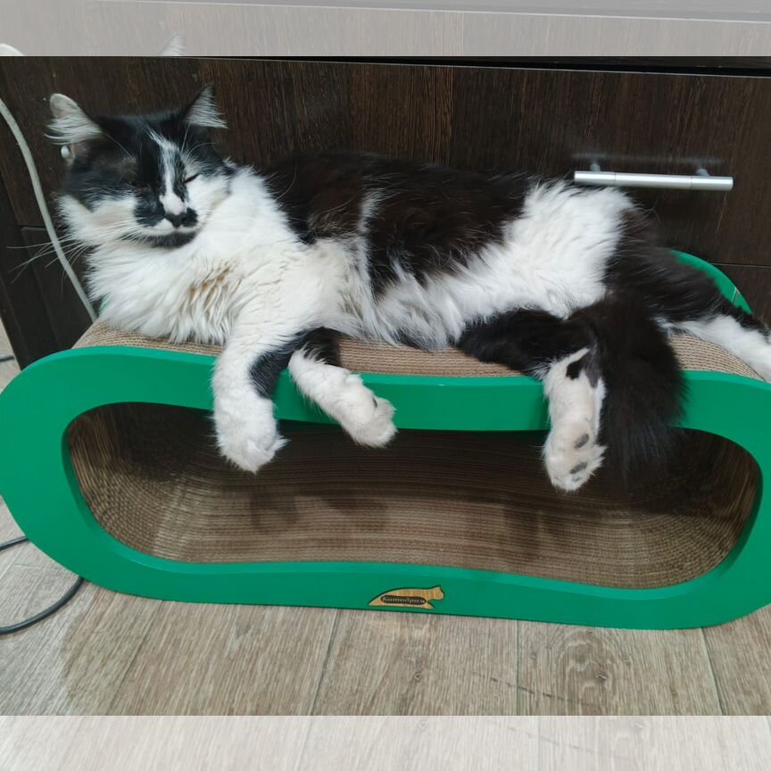 Когтеточка комплекс для кошек Лежебока