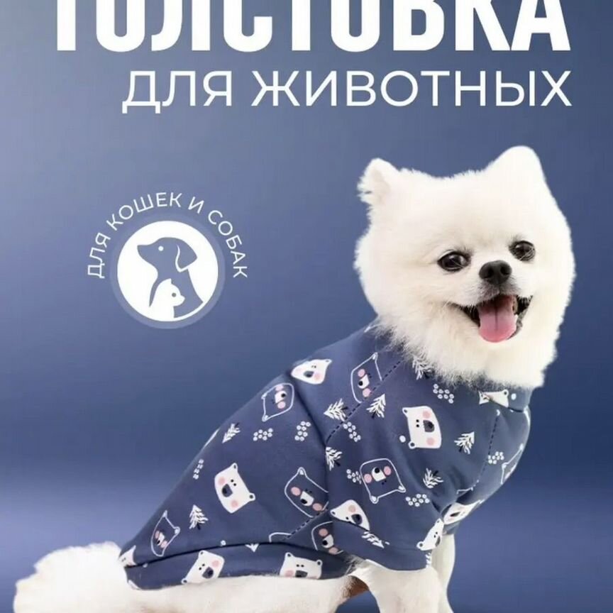 Толстовка для животных