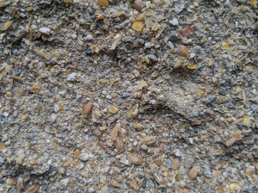 Комбикорм для кур несушек