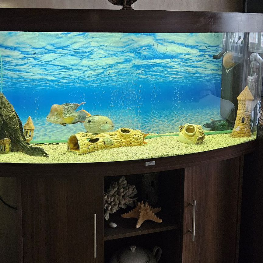 Аквариум с тумбой juwel