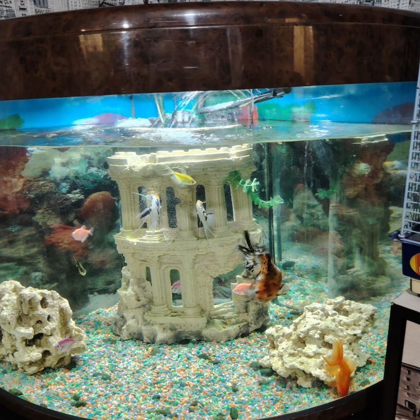 Аквариум