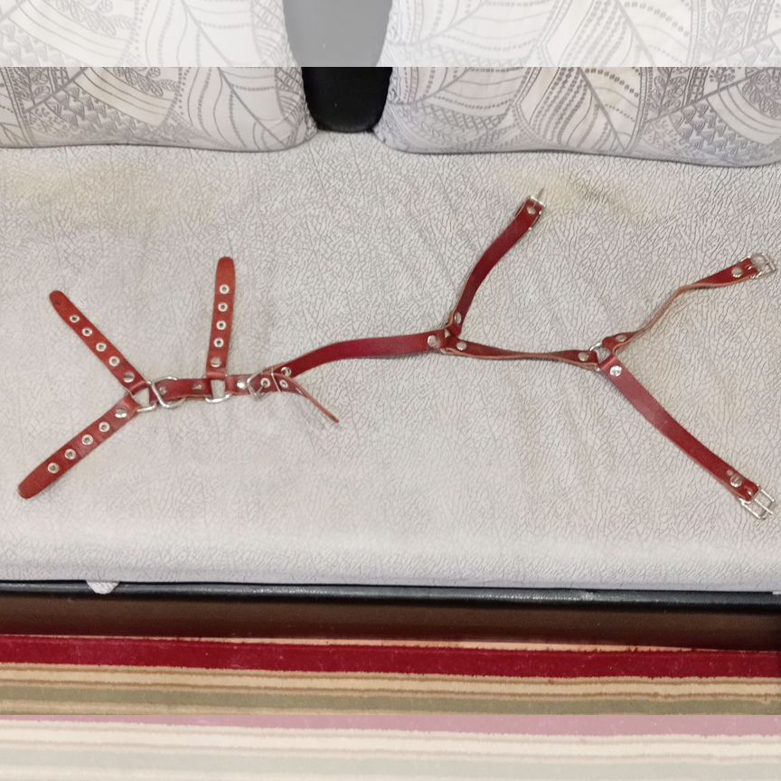 Шлейка для средней собаки