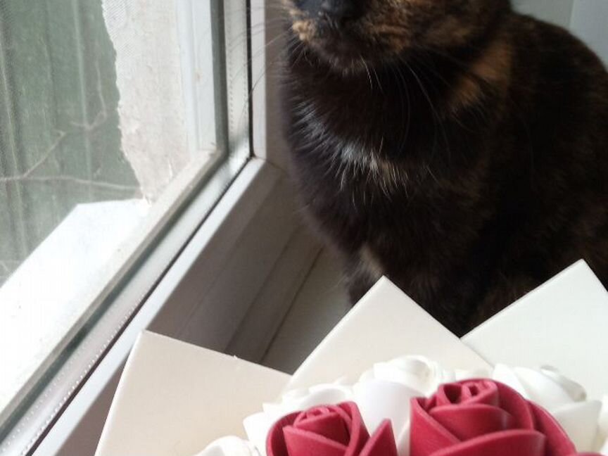 Милашка Маша в семью