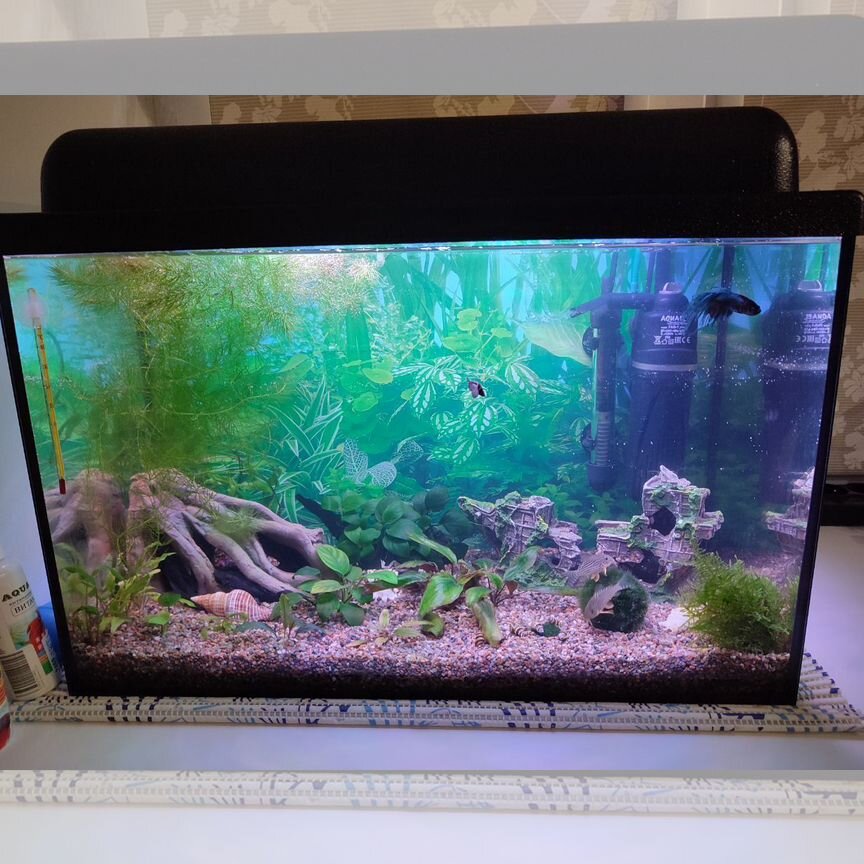 Аквариум 50 литров