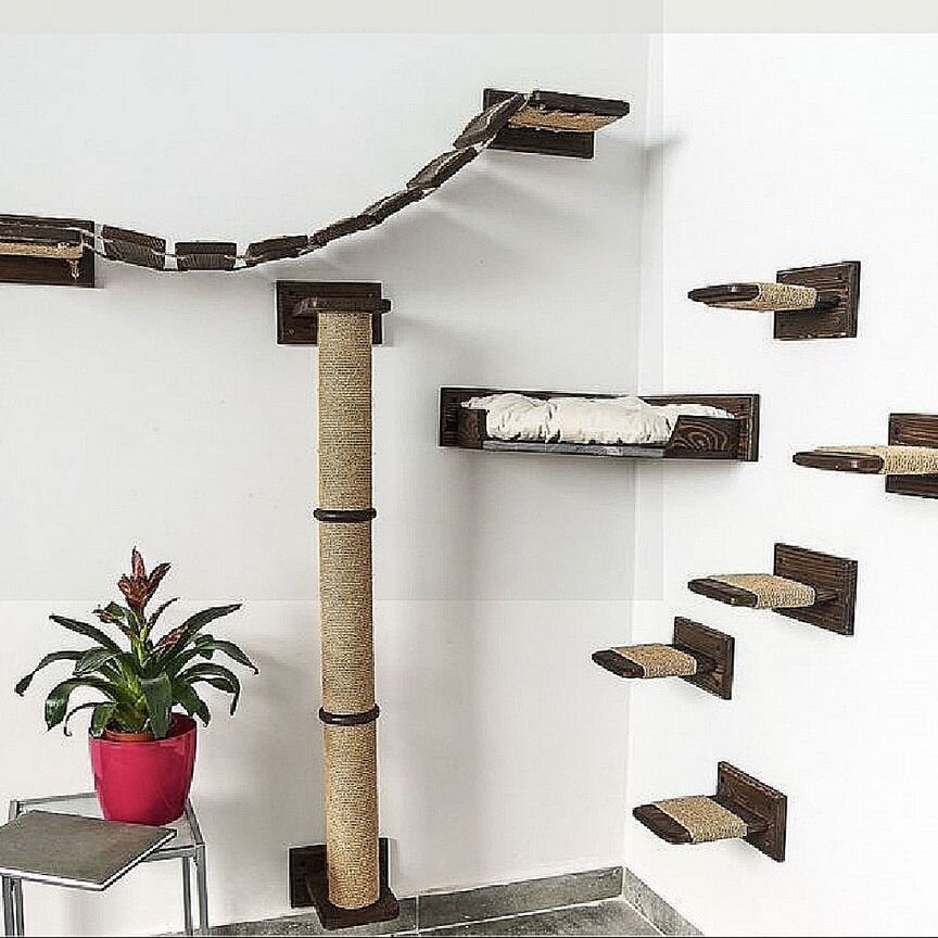 Комплекс для кошек