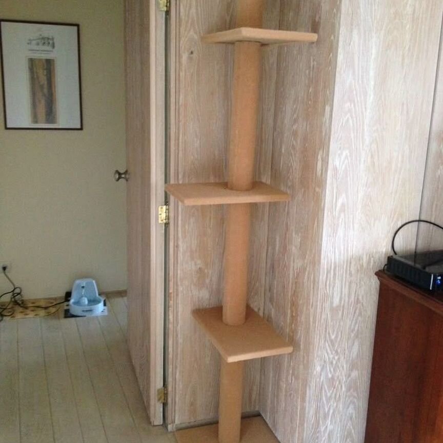 Комплекс для котов