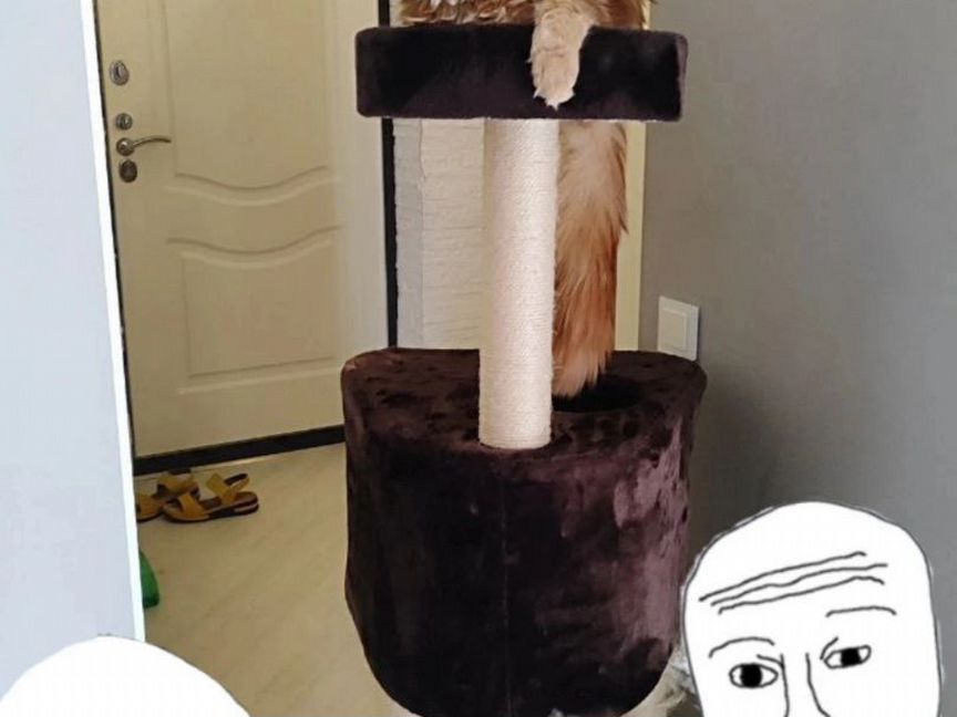 Кошачий домик