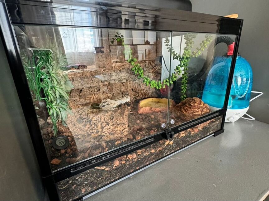 Террариум для рептилий