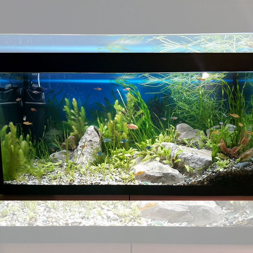 Боьшой Аквариум 180л