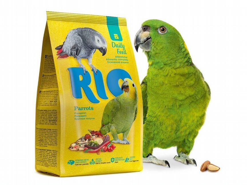 Большой говорящий попугай